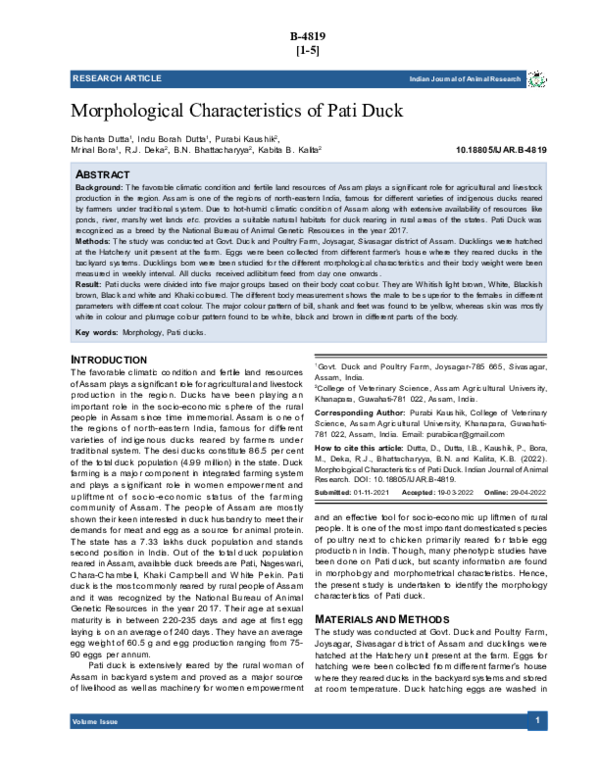 (PDF) Morphological Characteristics of Pati Duck