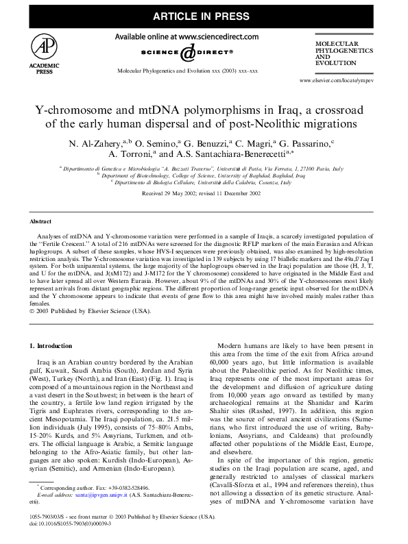 (PDF) Y-chromosome and mtDNA polymorphisms in Iraq, a crossroad of the ...