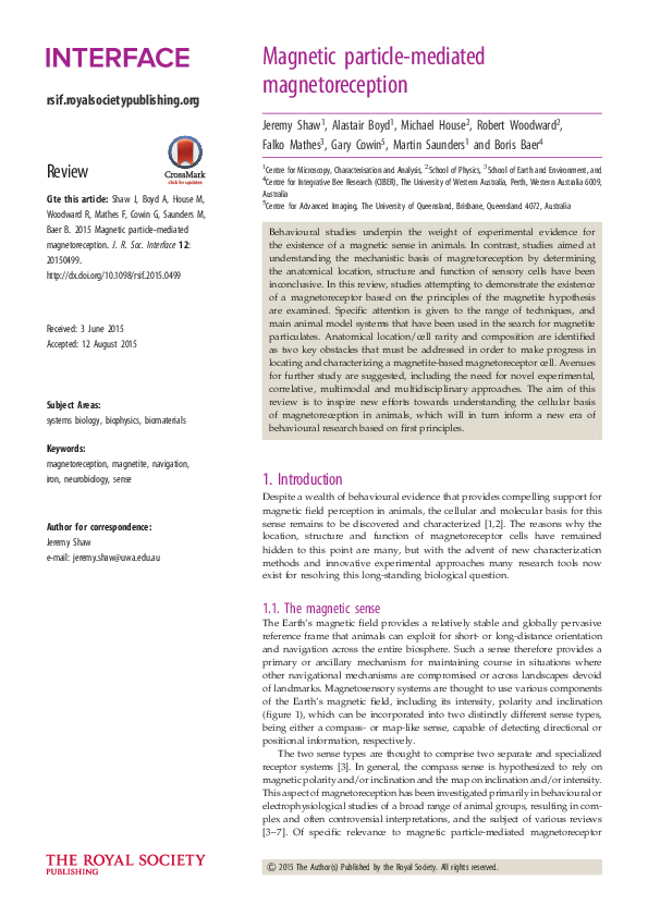 (PDF) Magnetic particle-mediated magnetoreception