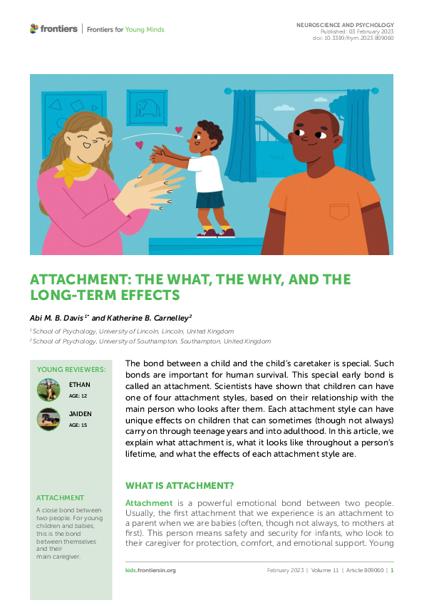 (PDF) Attachment: The What, the Why, and the Long-Term Effects