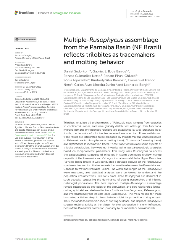 (PDF) Multiple-Rusophycus assemblage from the Parnaíba Basin (NE Brazil ...