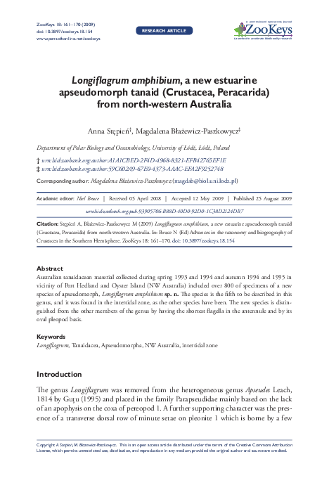(PDF) Longiflagrum amphibium, a new estuarine apseudomorph tanaid ...
