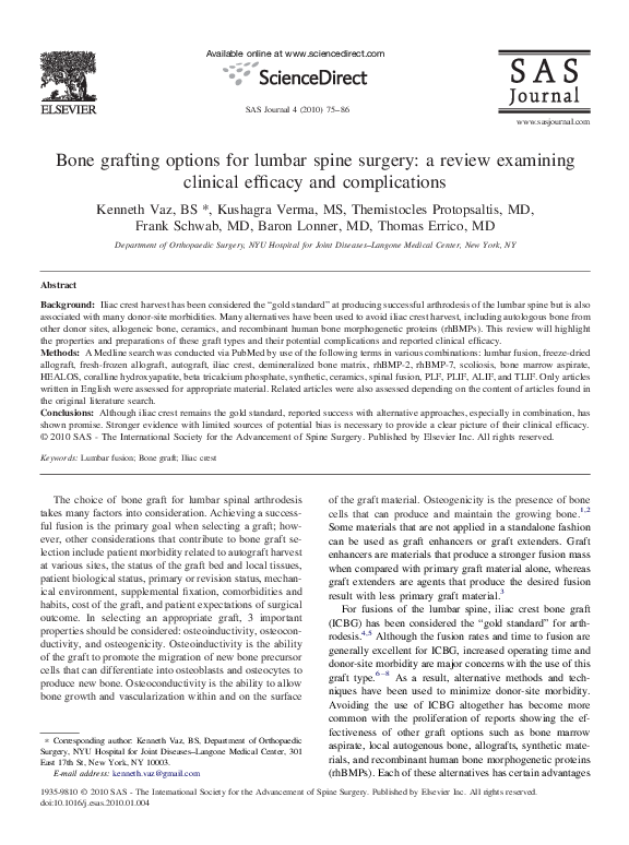 (PDF) Bone grafting options for lumbar spine surgery: a review ...
