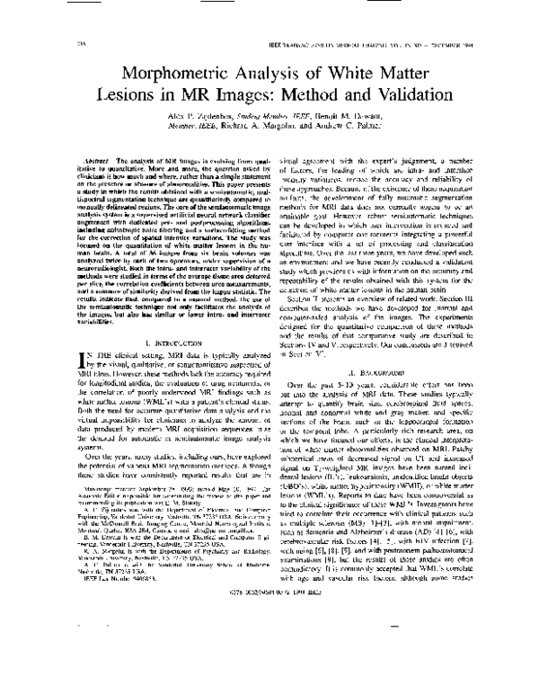 (PDF) Morphometric analysis of white matter lesions in MR images ...