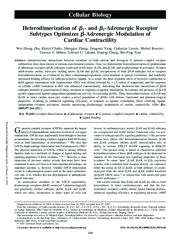 (PDF) Subtypes Optimizes -Adrenergic Modulation of Cardiac Contractility