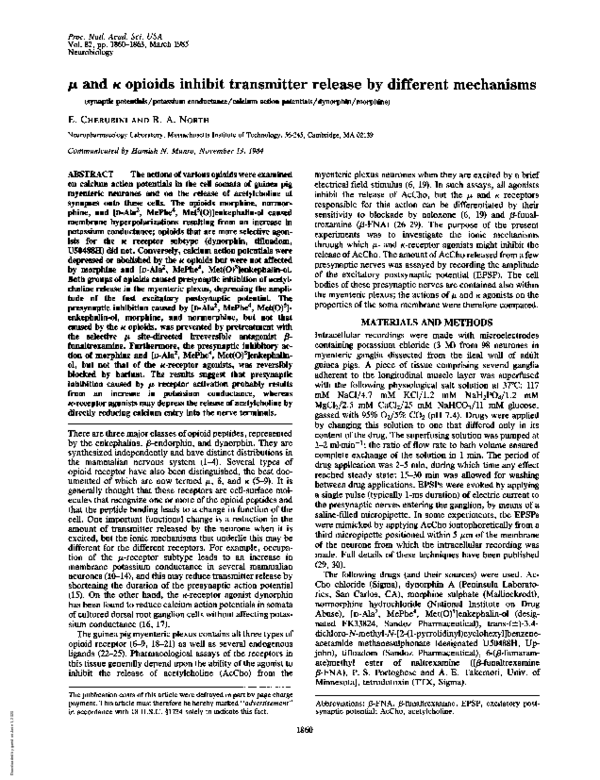 (PDF) Mu and kappa opioids inhibit transmitter release by different ...
