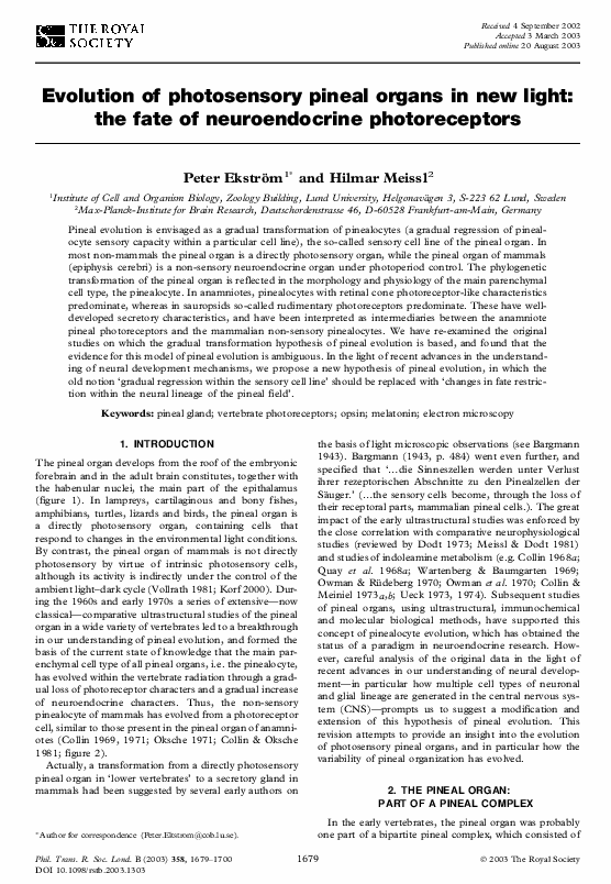 (PDF) Evolution of photosensory pineal organs in new light: the fate of ...