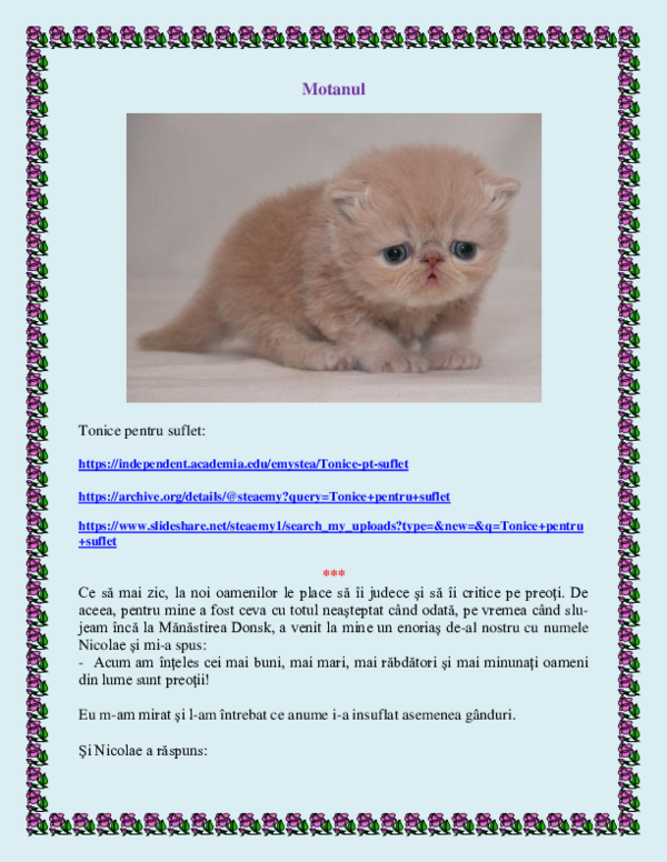 (PDF) Motanul