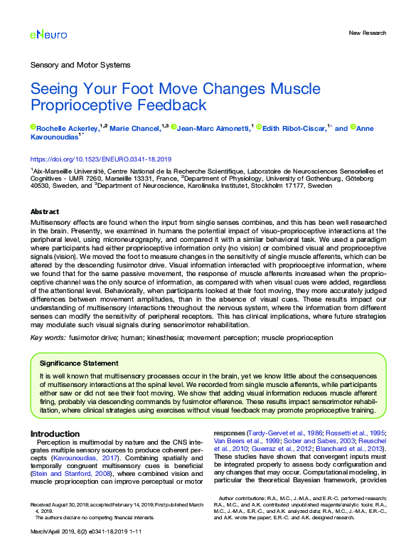 (PDF) Seeing Your Foot Move Changes Muscle Proprioceptive Feedback