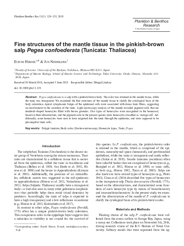 (PDF) Fine structures of the mantle tissue in the pinkish-brown salp ...