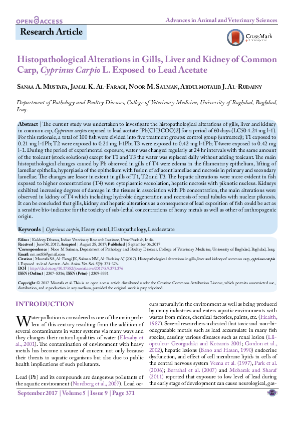 (PDF) Histopathological Alterations in Gills , Liver and Kidney of ...