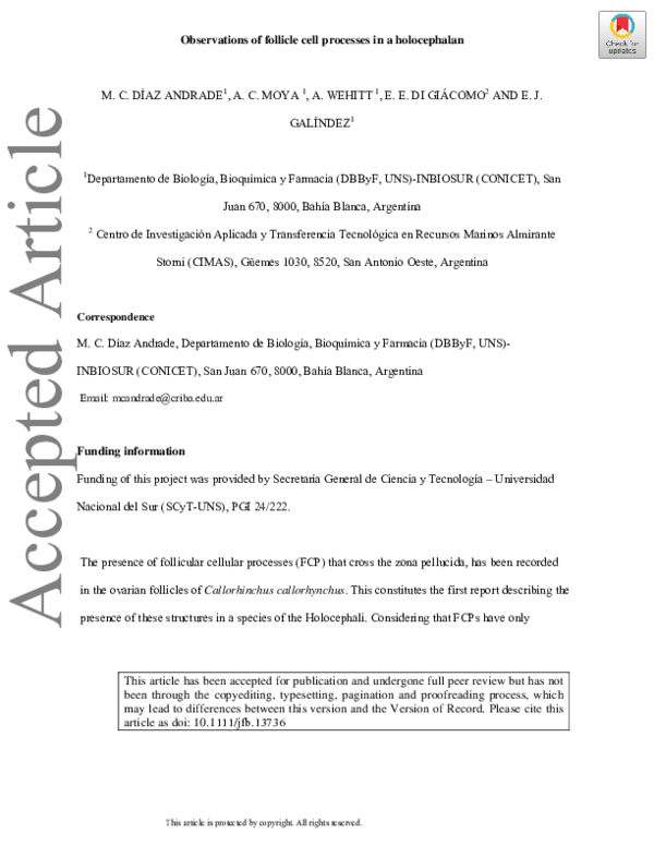 (PDF) Observations of follicle cell processes in a holocephalan