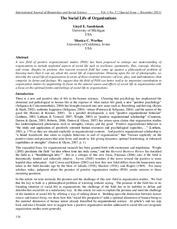 (PDF) The Social Life of Organizations
