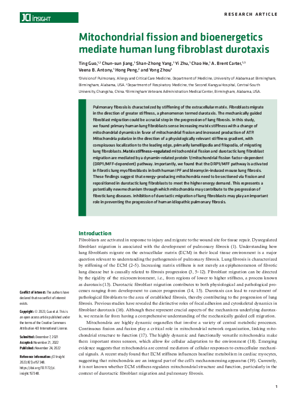 (PDF) Mitochondrial fission and bioenergetics mediate human lung ...