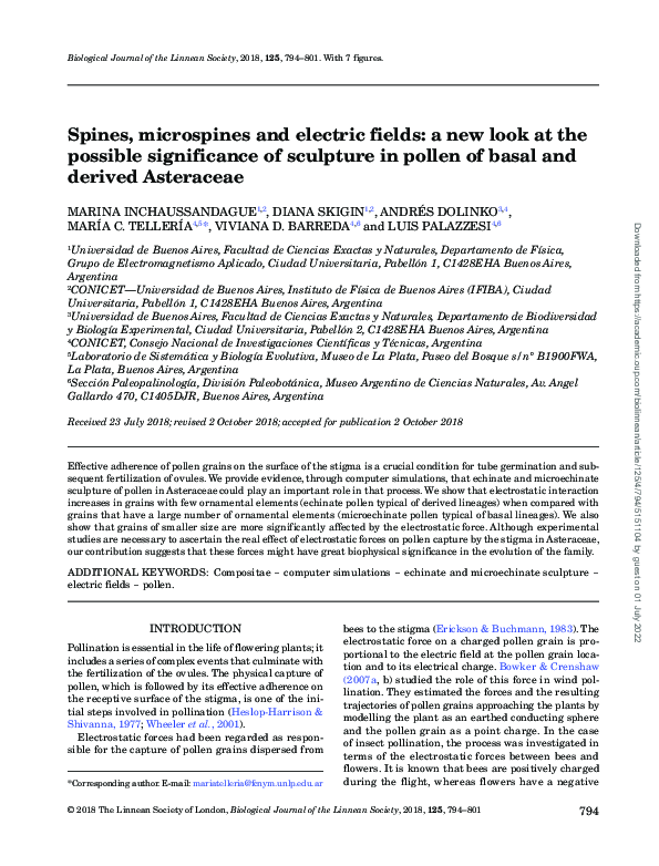(PDF) Spines, microspines and electric fields: a new look at the ...