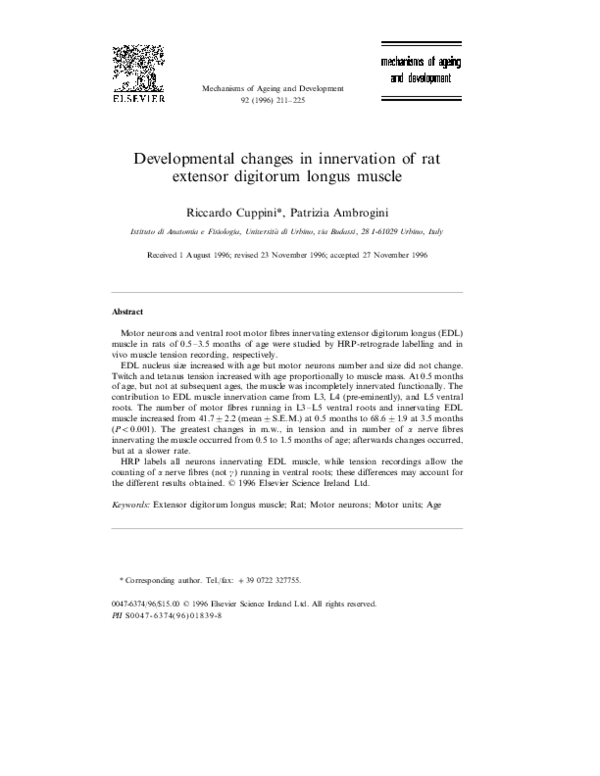 (PDF) Developmental changes in innervation of rat extensor digitorum ...