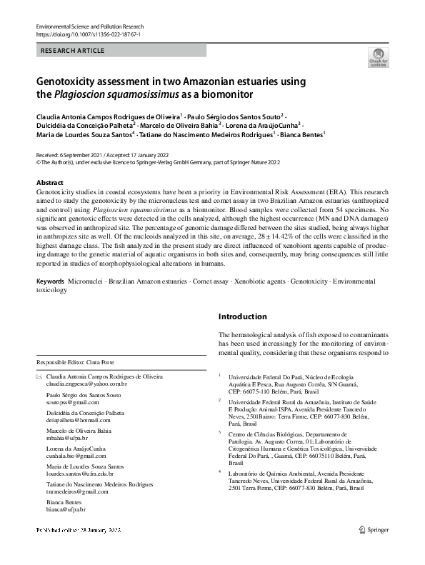 (PDF) Genotoxicity assessment in two Amazonian estuaries using the ...