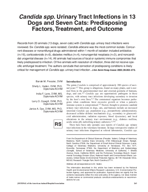 (PDF) Candida spp. Urinary Tract Infections in 13 Dogs and Seven Cats ...