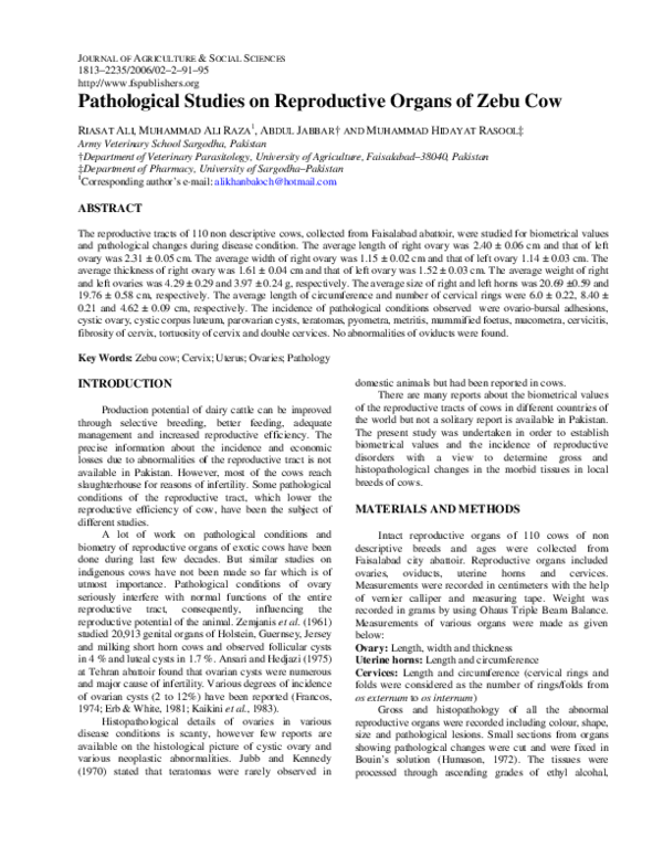 (PDF) Pathological Studies on Reproductive Organs of Zebu Cow | ABDUL ...