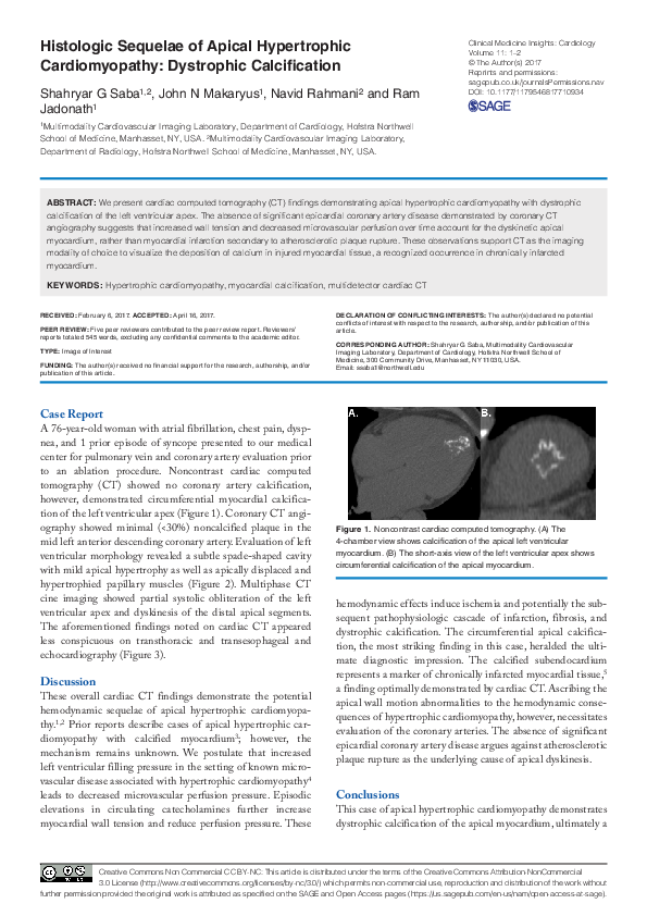 (PDF) Histologic Sequelae of Apical Hypertrophic Cardiomyopathy ...