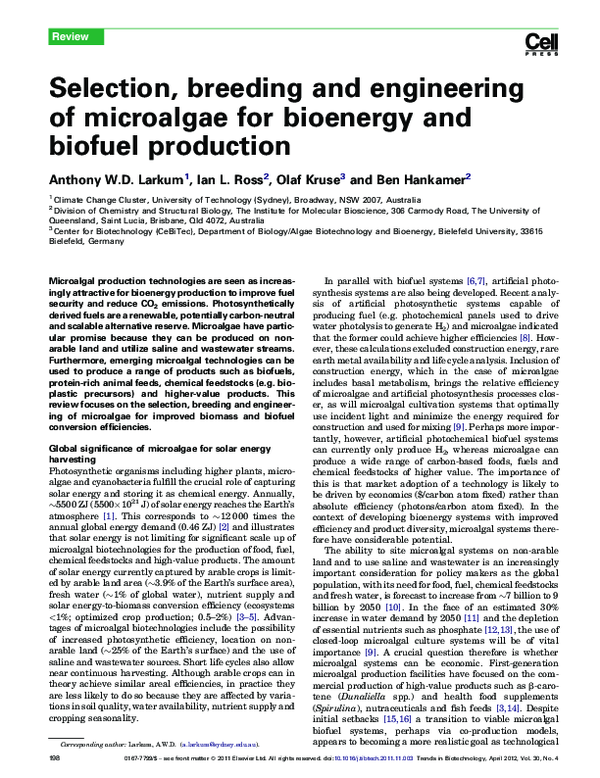 (PDF) Selection, breeding and engineering of microalgae for bioenergy and biofuel production ...