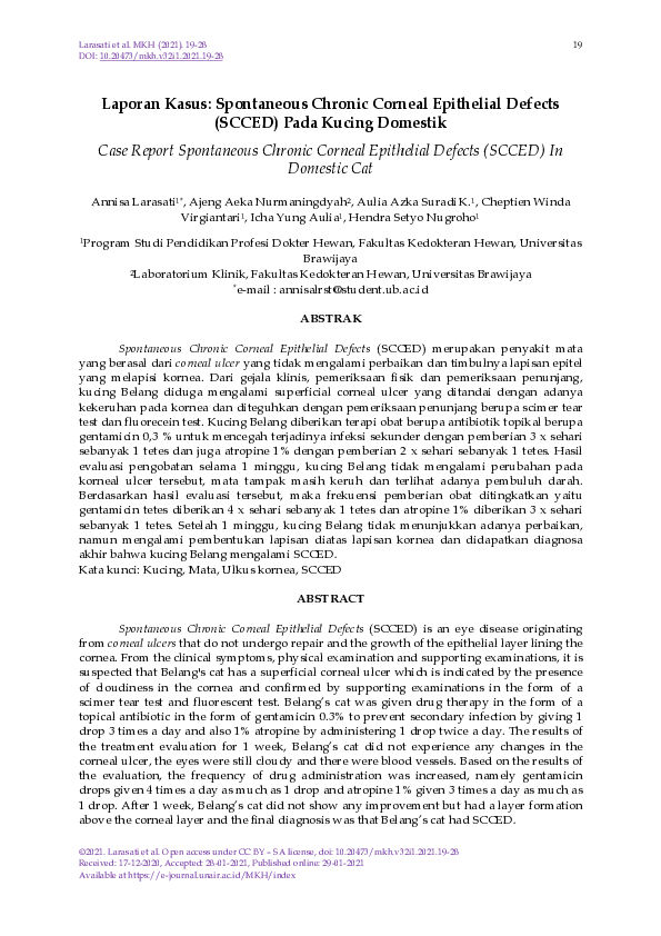 (PDF) Laporan Kasus: Spontaneous Chronic Corneal Epithelial Defects ...