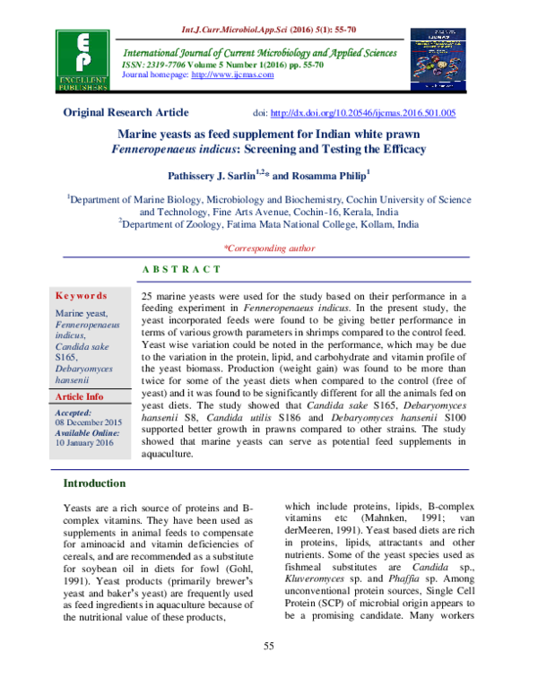 (PDF) Marine yeasts as feed supplement for Indian white prawn ...