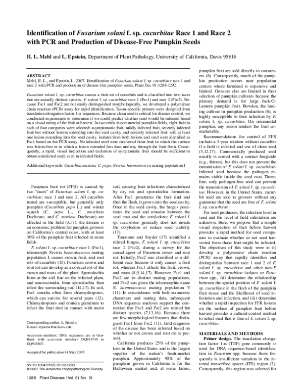 Pdf Identification Of Fusarium Solani F Sp Cucurbitae Races Using Morphological And Molecular