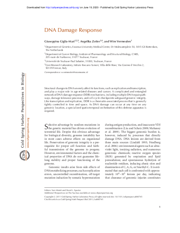 (PDF) Spatio-Temporal Dynamics of DNA Damage Response