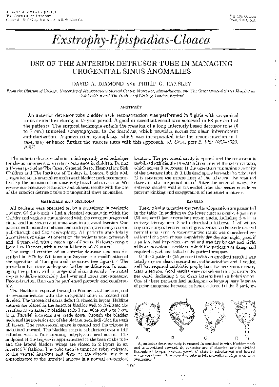 (PDF) Use of the Anterior Detrusor Tube in Managing Urogenital Sinus ...