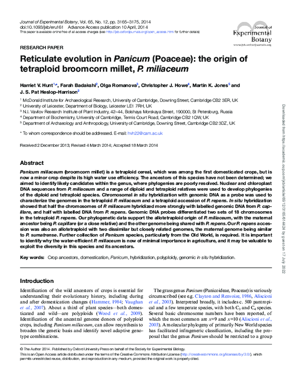 (PDF) Reticulate evolution in Panicum (Poaceae): the origin of ...