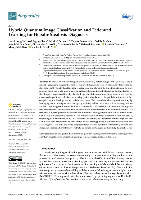 (PDF) Hybrid Quantum Image Classification and Federated Learning for Hepatic Steatosis Diagnosis