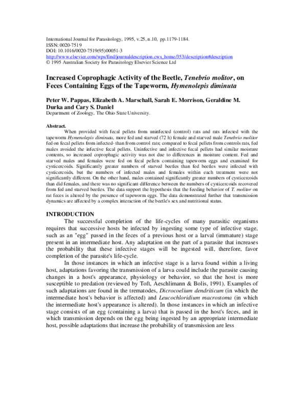 (PDF) Increased coprophagic activity of the Beetle, Tenebrio molitor ...