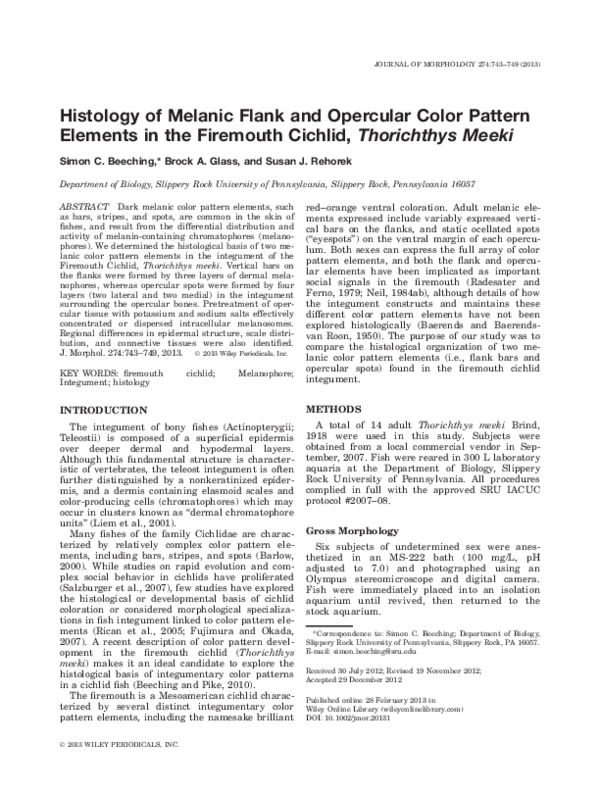 (PDF) Histology of melanic flank and opercular color pattern elements ...