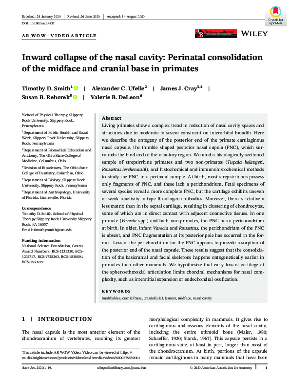 (PDF) Inward collapse of the nasal cavity: Perinatal consolidation of ...