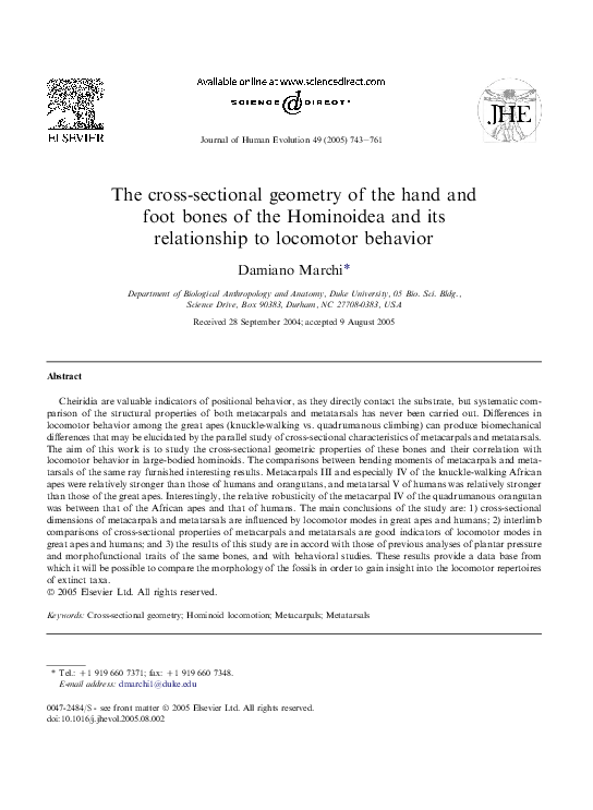 (PDF) The cross-sectional geometry of the hand and foot bones of the Hominoidea and its ...