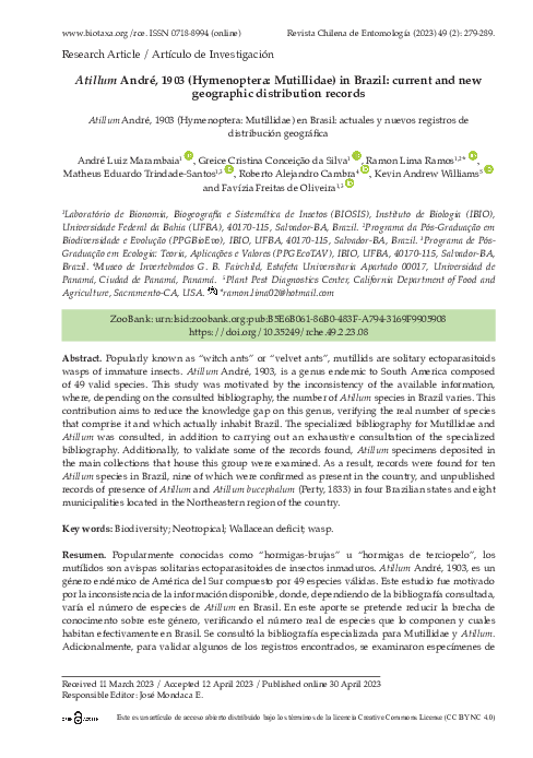 (PDF) Atillum André, 1903 (Hymenoptera: Mutillidae) in Brazil: current ...