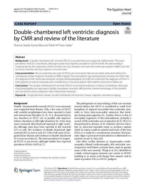 (PDF) Double-chambered left ventricle: diagnosis by CMR and review of ...