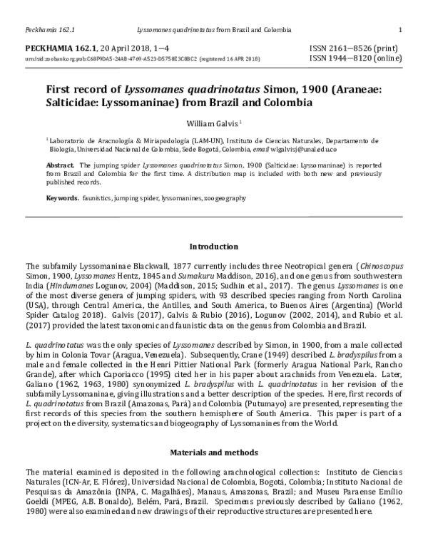 (PDF) First record of Lyssomanes quadrinotatus Simon, 1900 (Araneae ...