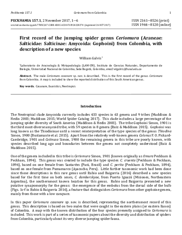 (PDF) First record of the jumping spider genus Ceriomura (Araneae ...