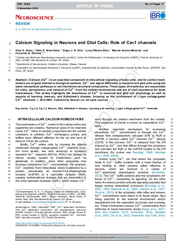 (PDF) Calcium Signaling in Neurons and Glial Cells: Role of Cav1 channels