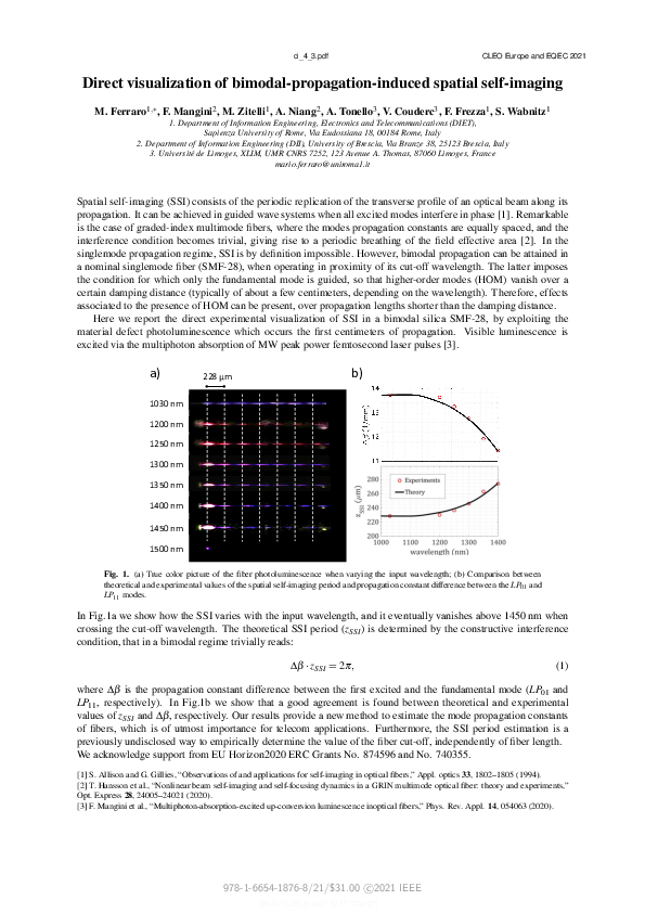 (PDF) Direct visualization of bimodal-propagation-induced spatial self-imaging