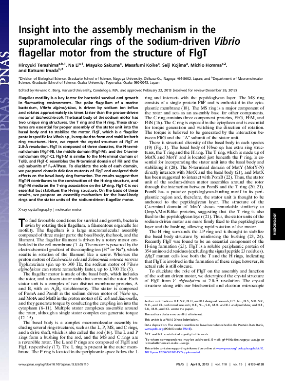 (PDF) Insight into the assembly mechanism in the supramolecular rings of the sodium-driven ...