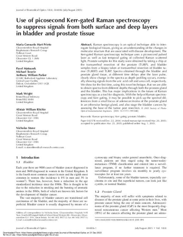 (PDF) Use of picosecond Kerr-gated Raman spectroscopy to suppress signals from both surface and ...