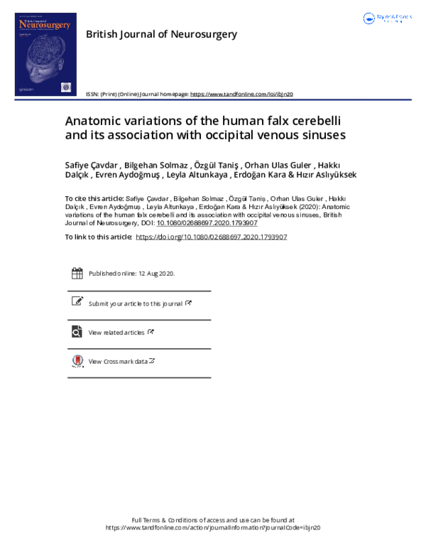 (PDF) Anatomic variations of the human falx cerebelli and its ...