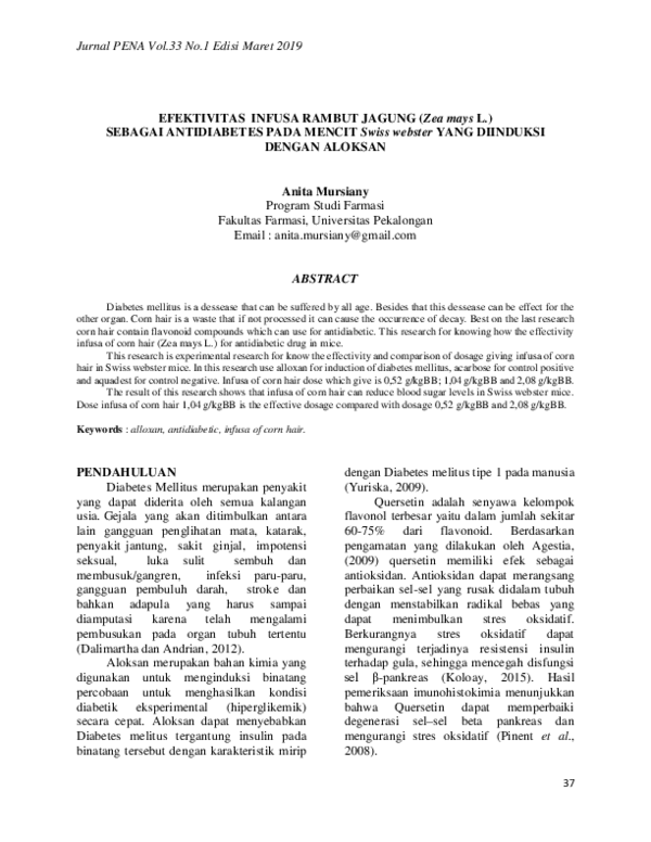 (PDF) EFEKTIVITAS INFUSA RAMBUT JAGUNG (Zea mays L.) SEBAGAI ...