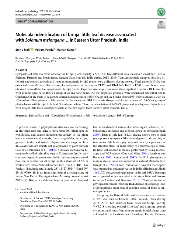 (PDF) Molecular identification of brinjal little leaf disease ...