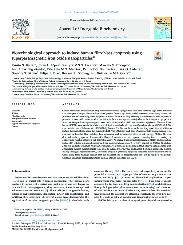 (PDF) Biotechnological approach to induce human fibroblast apoptosis using superparamagnetic ...