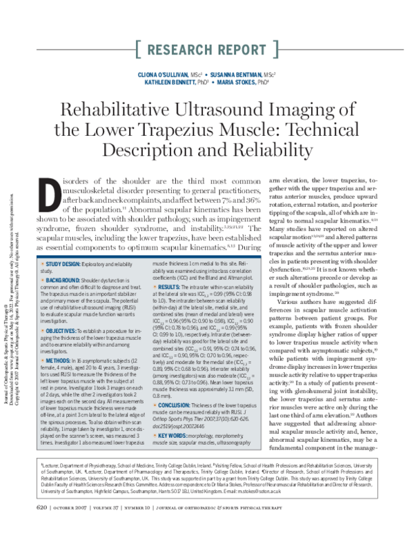 (PDF) Rehabilitative Ultrasound Imaging of the Lower Trapezius Muscle ...