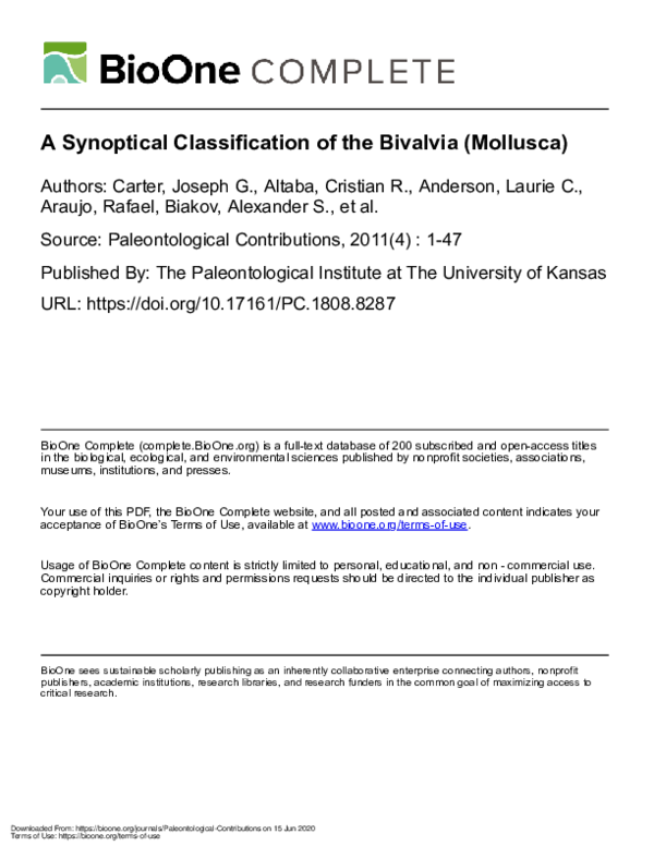 (PDF) A Synoptical Classification of the Bivalvia (Mollusca) | Tom ...